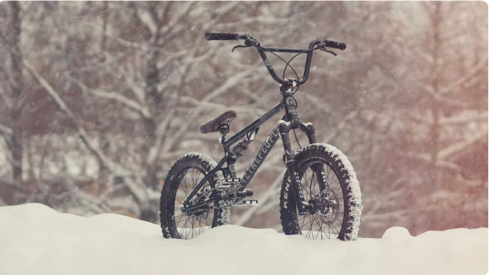 Wethepeople SWAMP MASTER Full Suspension BMX Bike – Alans BMX